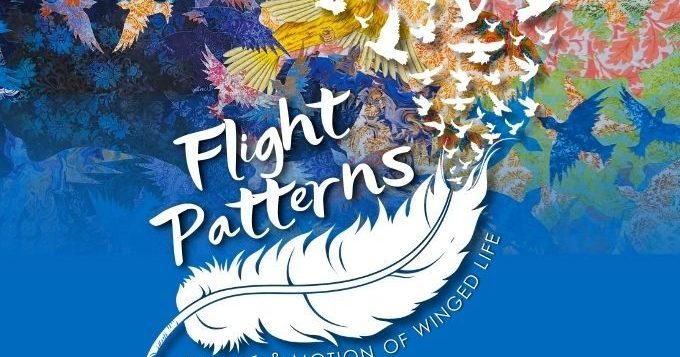 Flight Patterns: The Art & Motion of Winged Life | Snohomish County