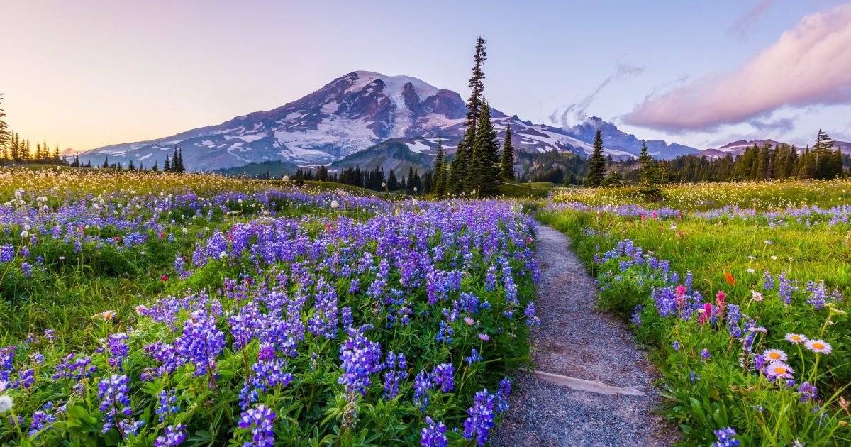 Three National Parks, One Destination | Snohomish County