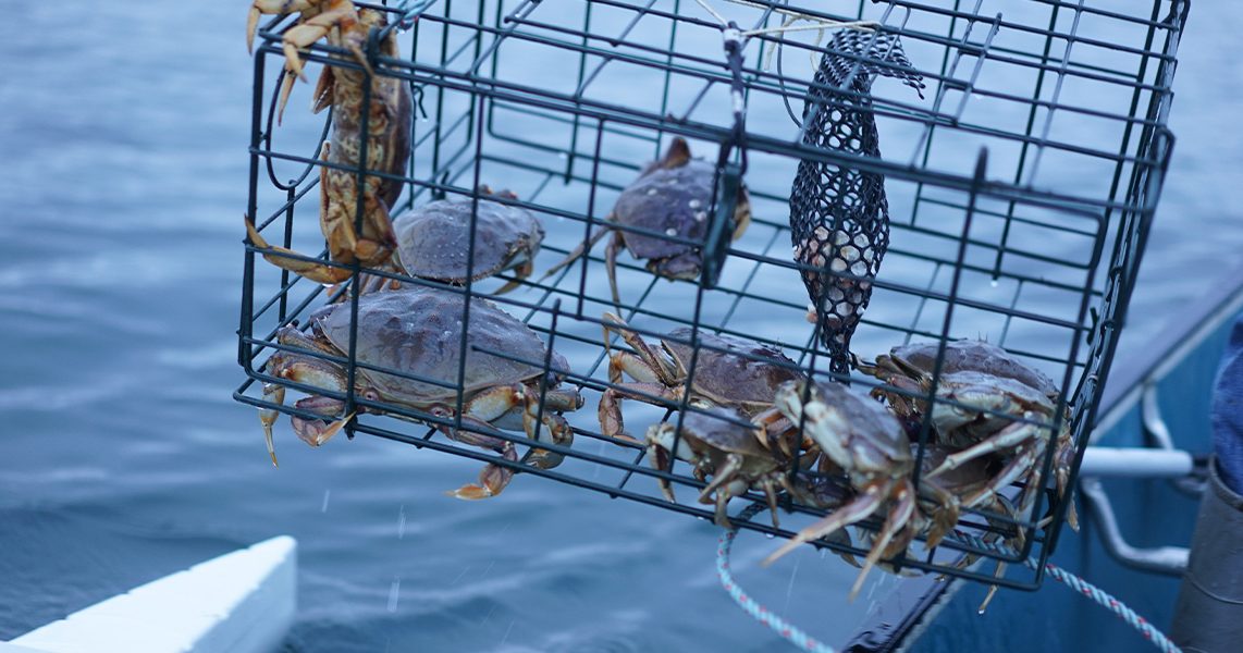 Winter Crabbing & Canoeing in the Salish Sea | Snohomish County